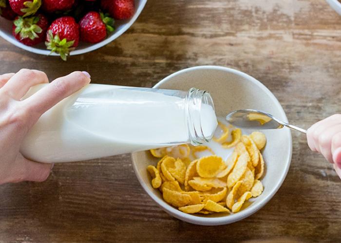 Home | The Organic Center