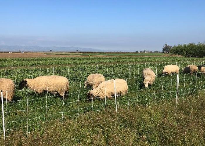 News | The Organic Center